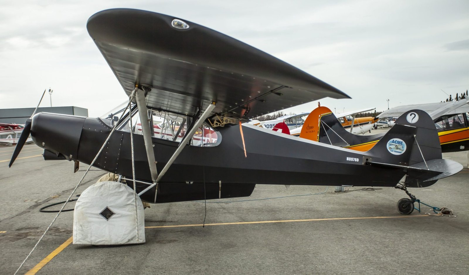 N8976D - Acme Cub Training